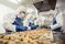  Essays On Food Industry Free Argumentative Persuasive Descriptive